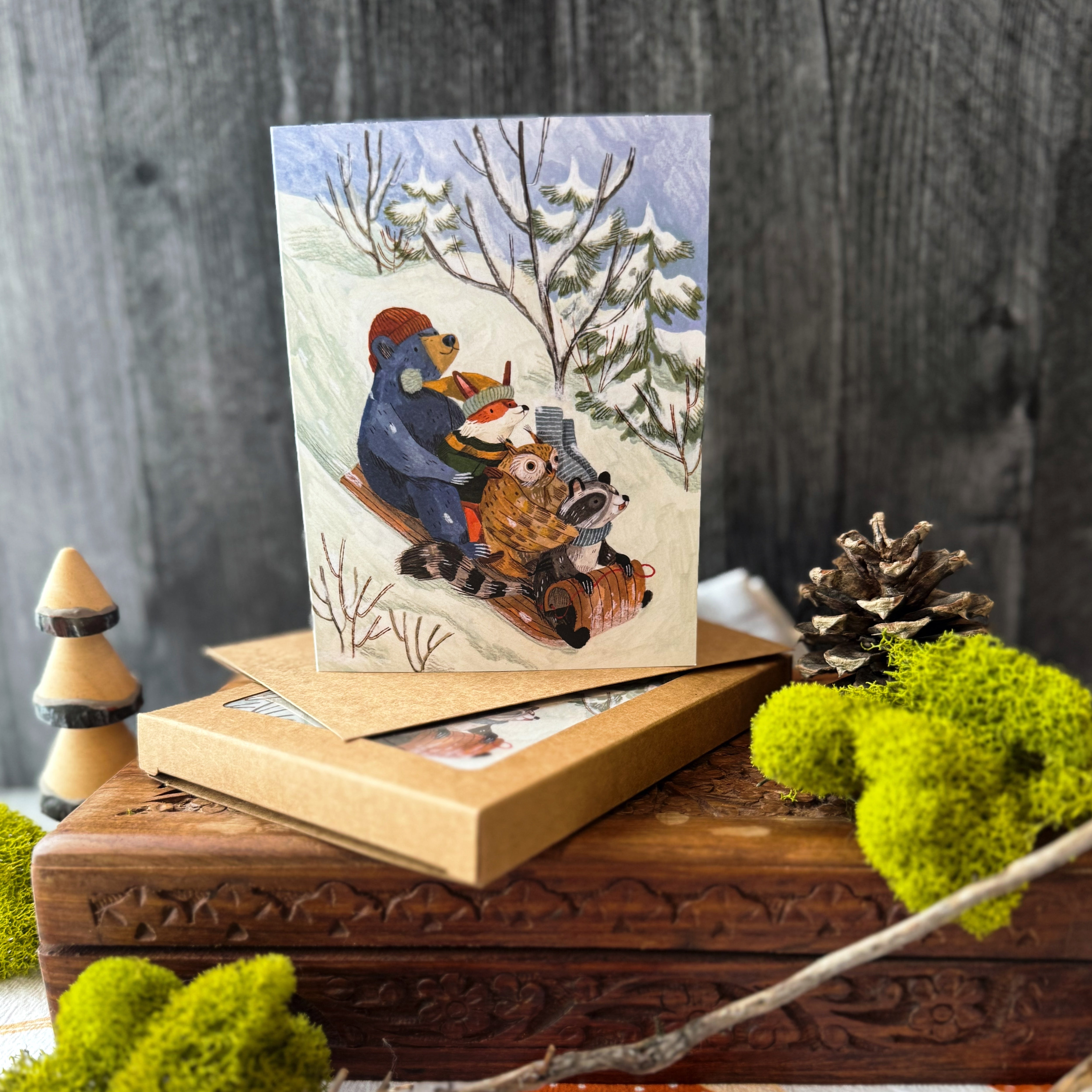 Snow Sledding Cards (Boxed Card Set) – Canyon & Cove Art